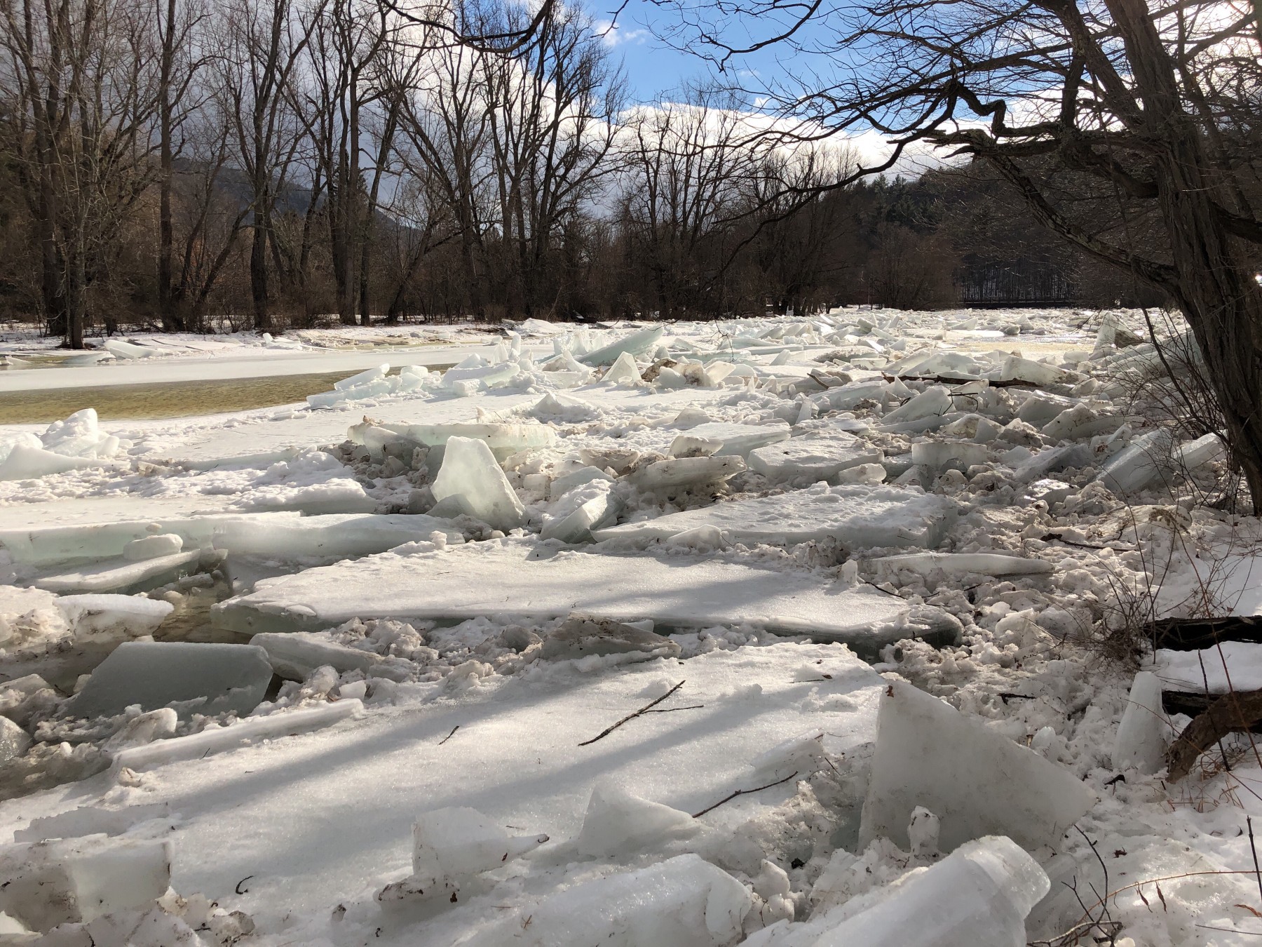 Where Do Fish Go In The Winter Fishing Form