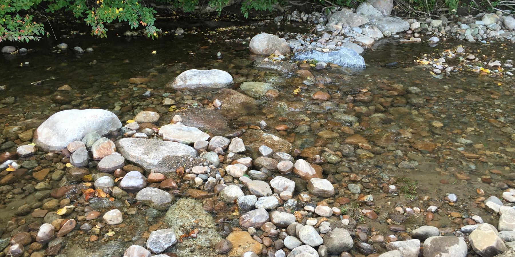 Stream Features: Riffle to Glide | Ausable Freshwater Center