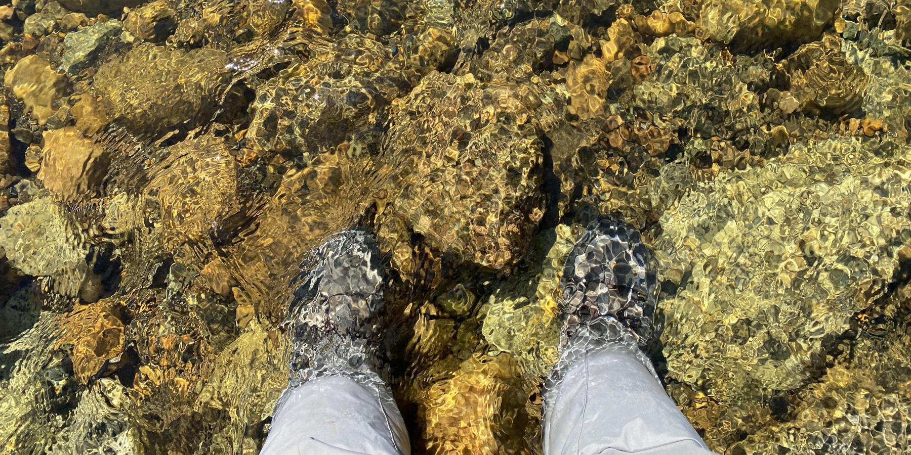 Ausable Freshwater Center | Ausable Freshwater Center