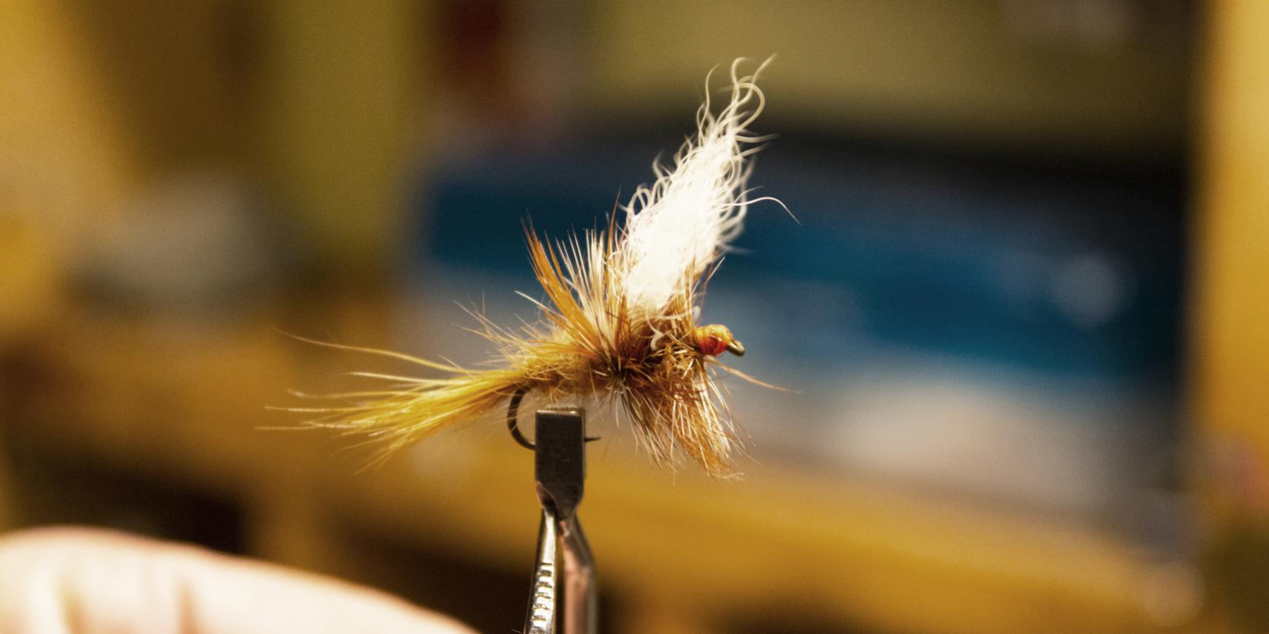 Best Flies for the Ausable River | Ausable Freshwater Center