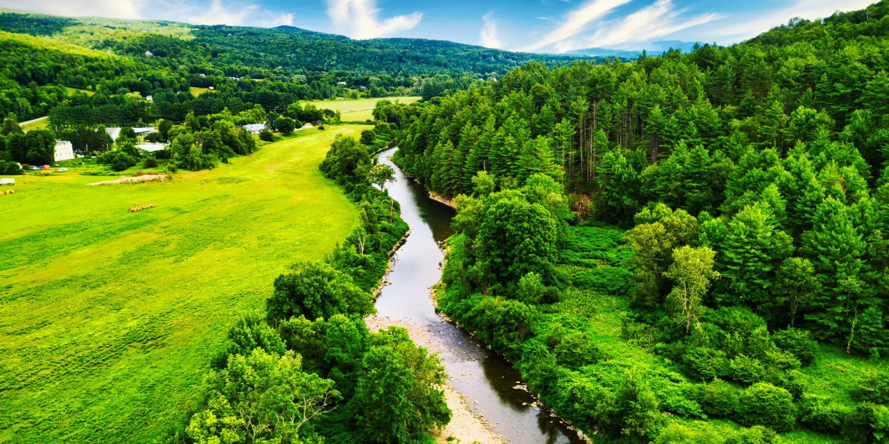 Stream Wise | Ausable Freshwater Center