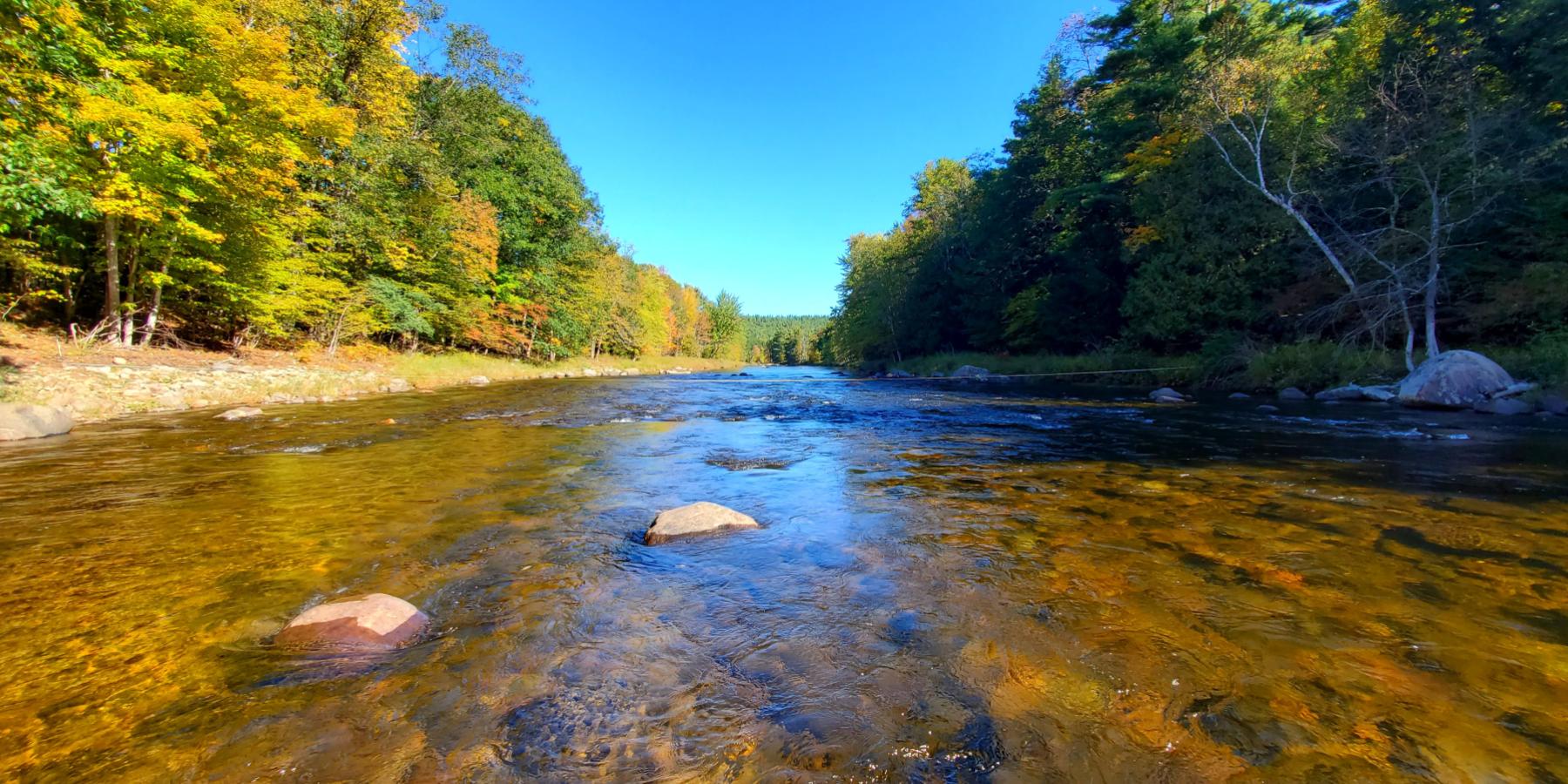 Restoring Stream Health and Measuring Success | Ausable Freshwater Center