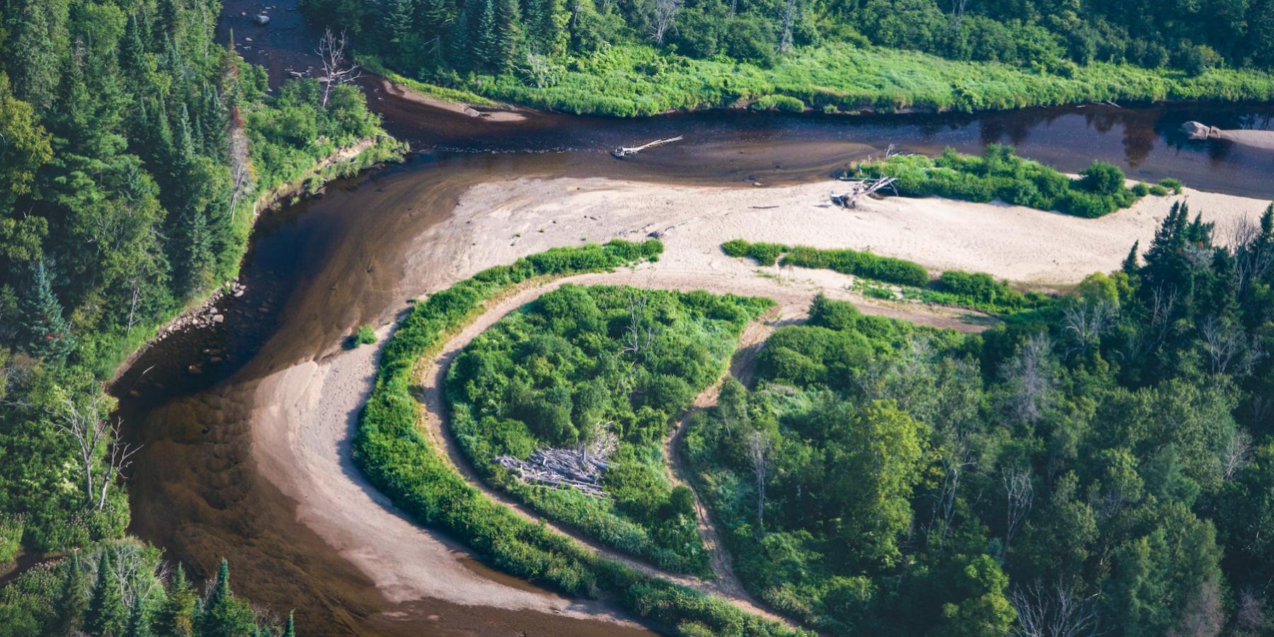 Where the Forest Meets the Stream | Ausable River Association
