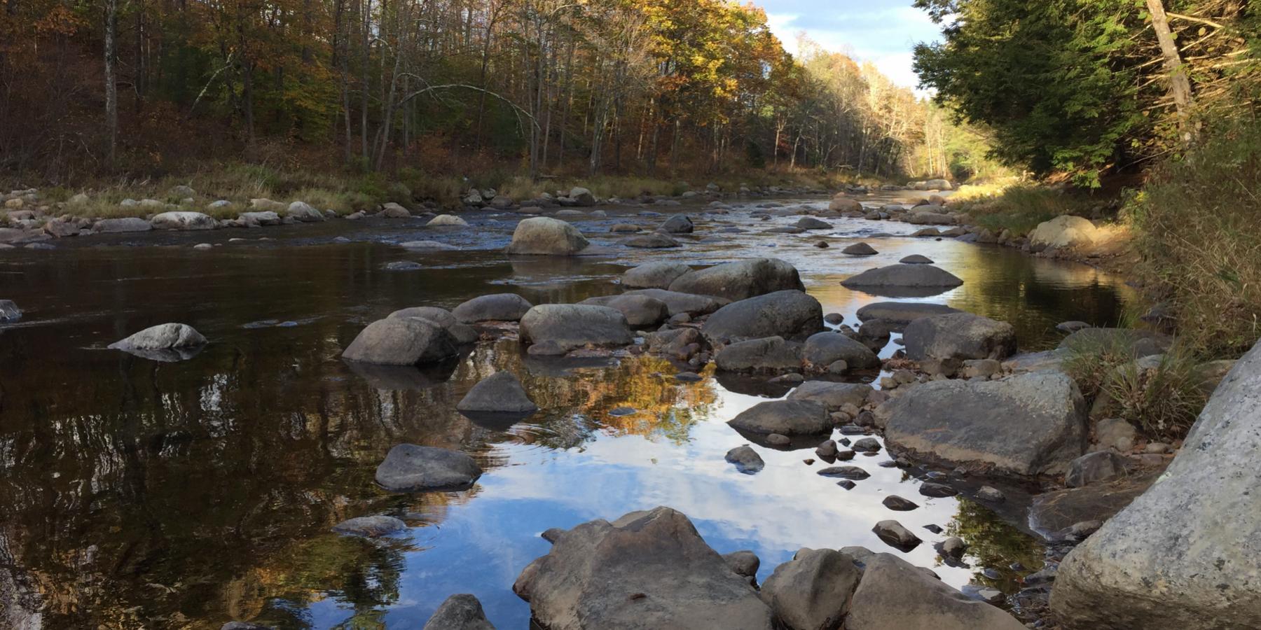 Restoration | Ausable Freshwater Center