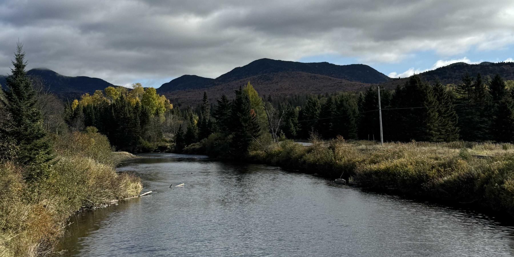 A Fellow's Summer with AFC | Ausable Freshwater Center