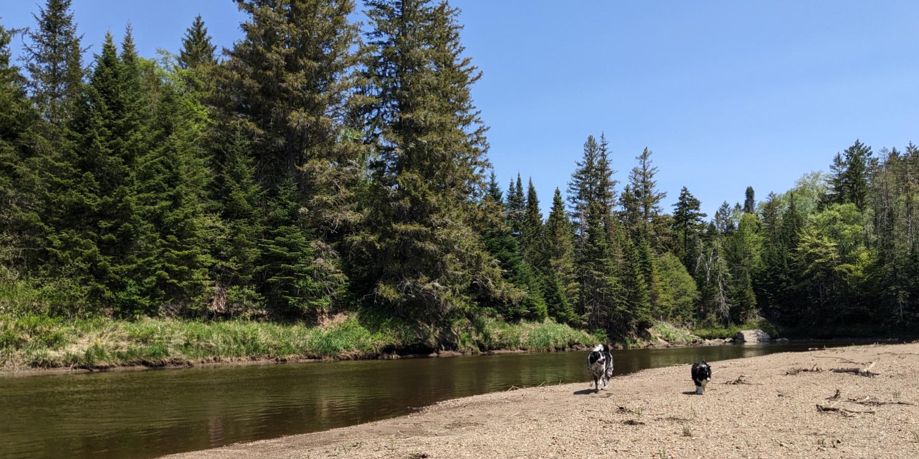 What’s up with the River Steward? | Ausable Freshwater Center