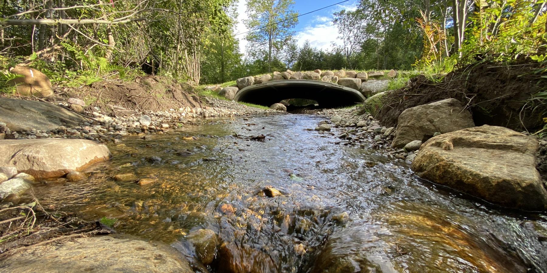 Why Build Large Culverts? | Ausable Freshwater Center