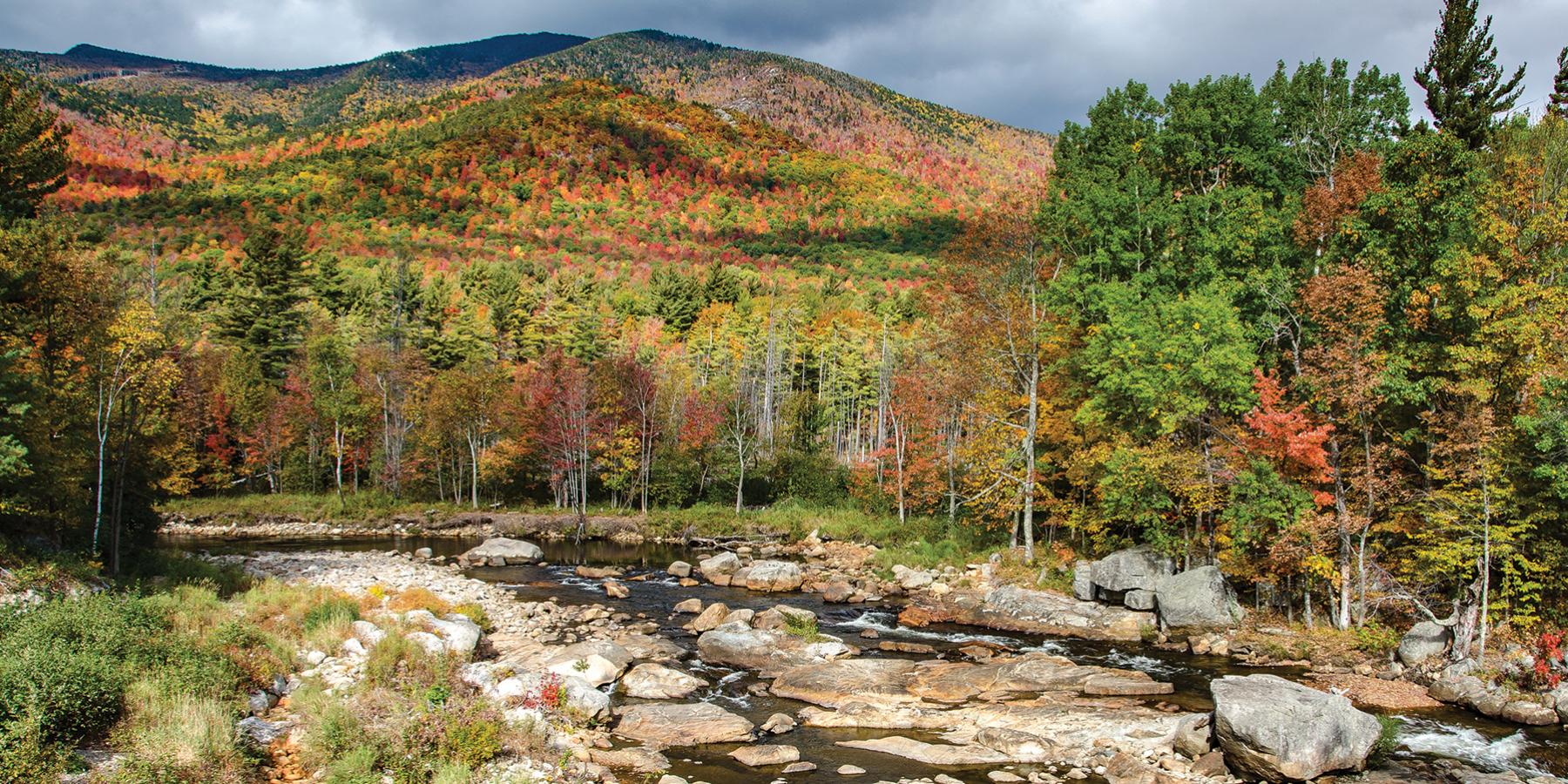 Caring | Ausable Freshwater Center