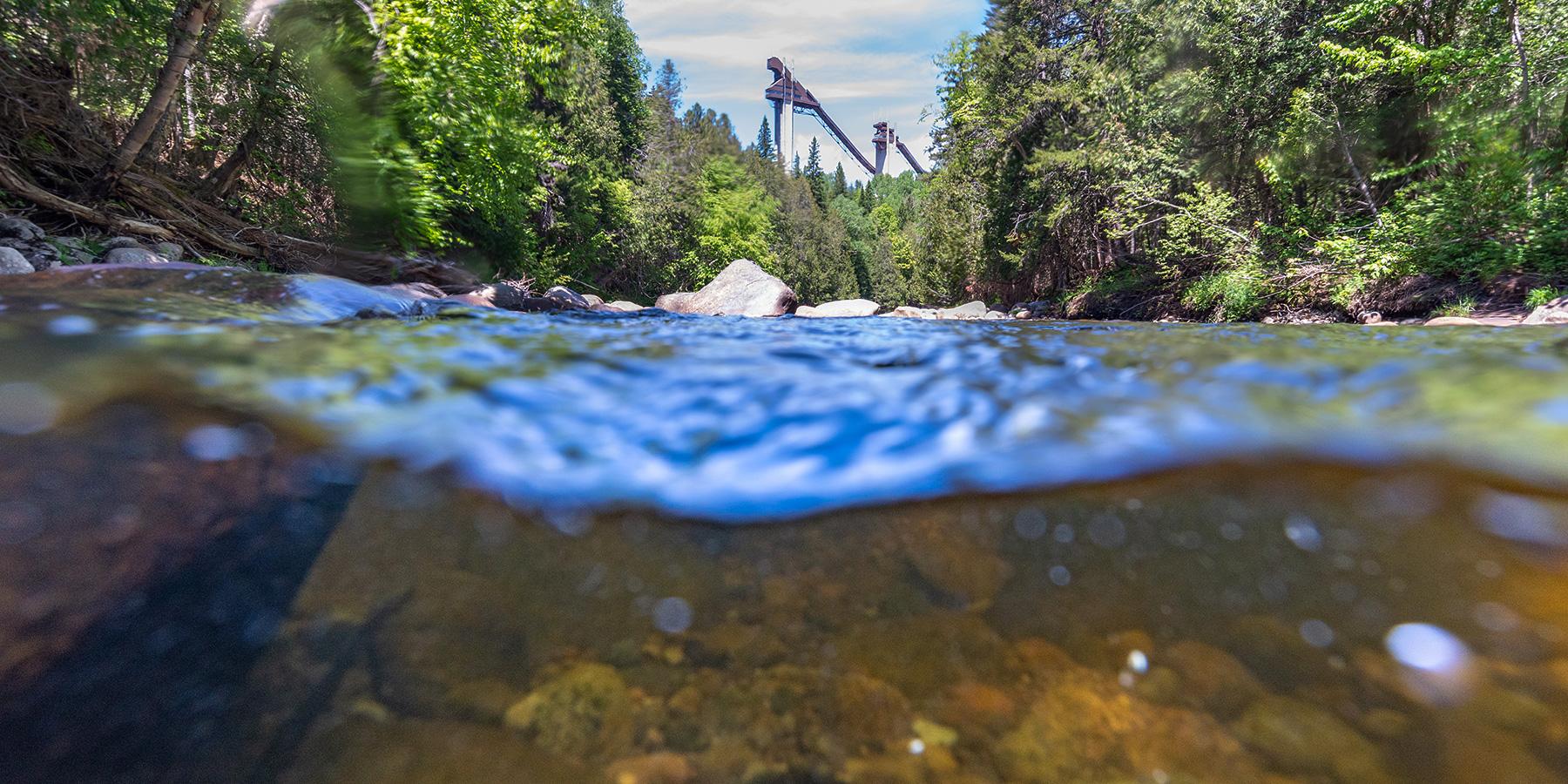 A Young Fisherman’s Journey | Ausable Freshwater Center